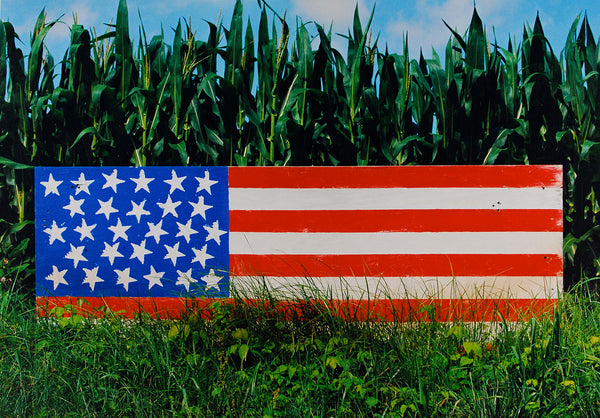 American Flag in Corn Field – Annapolis Marine Art Gallery