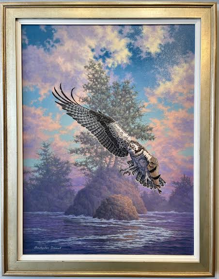 Seahawk Ascending – Annapolis Marine Art Gallery